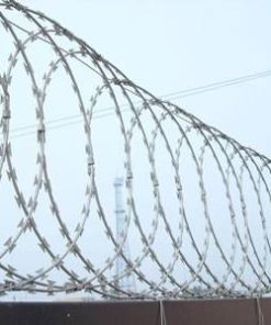 Razor wire Galvanized